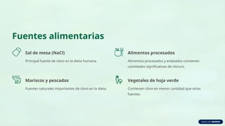 Cloro ion y su funciones en el cuerpo humano | PPTX