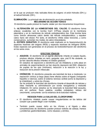Cloroformo | DOCX