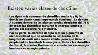 Cloroplastos .pptx