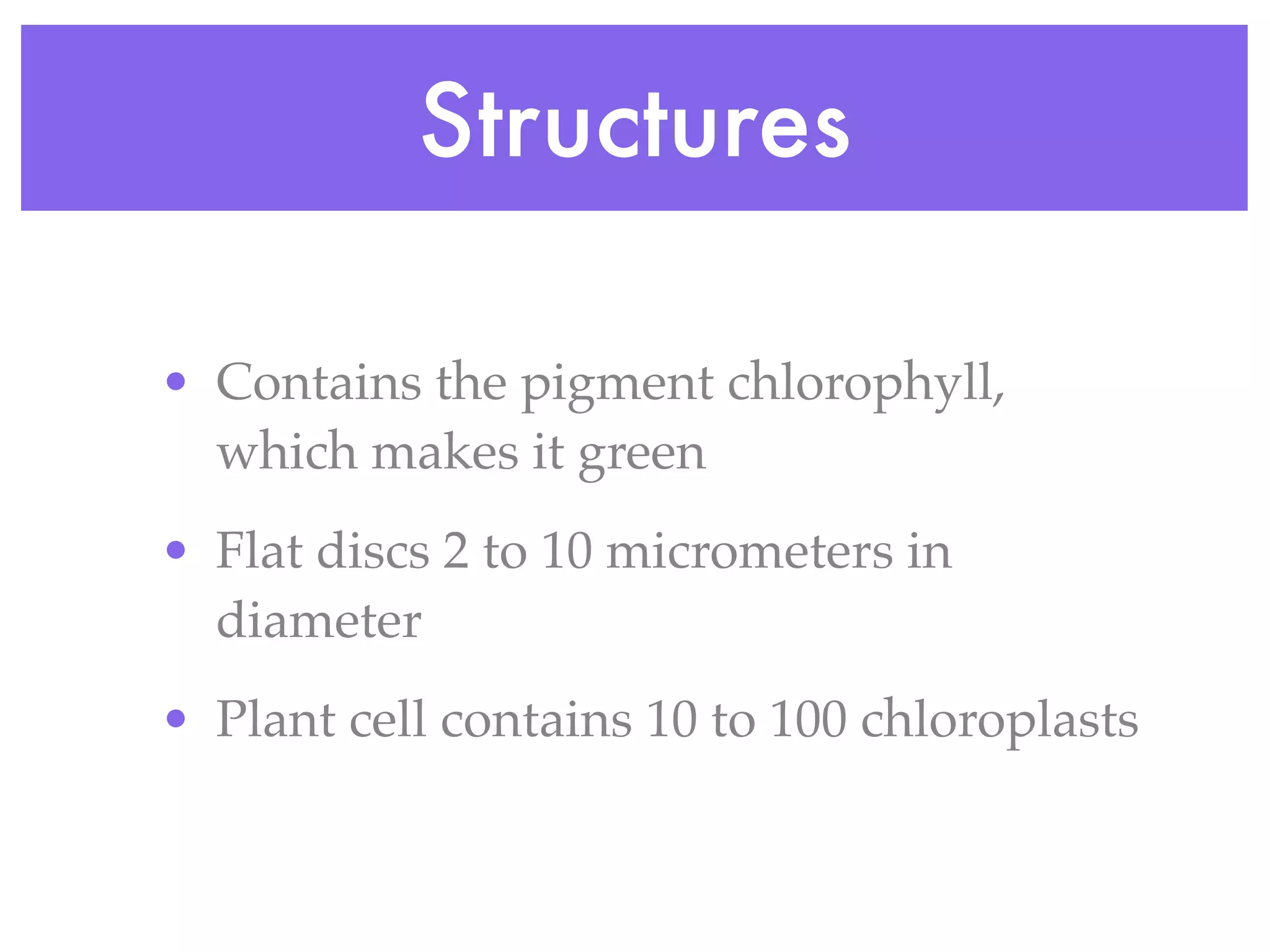 Cloroplast ppt | KEY