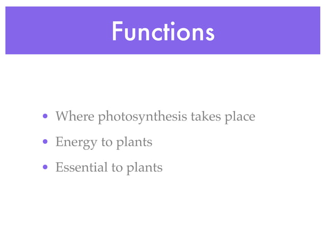 Cloroplast ppt | KEY