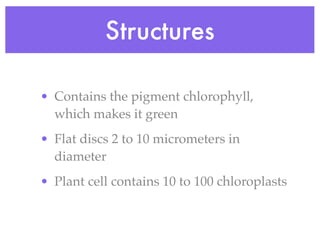 Cloroplast ppt | KEY
