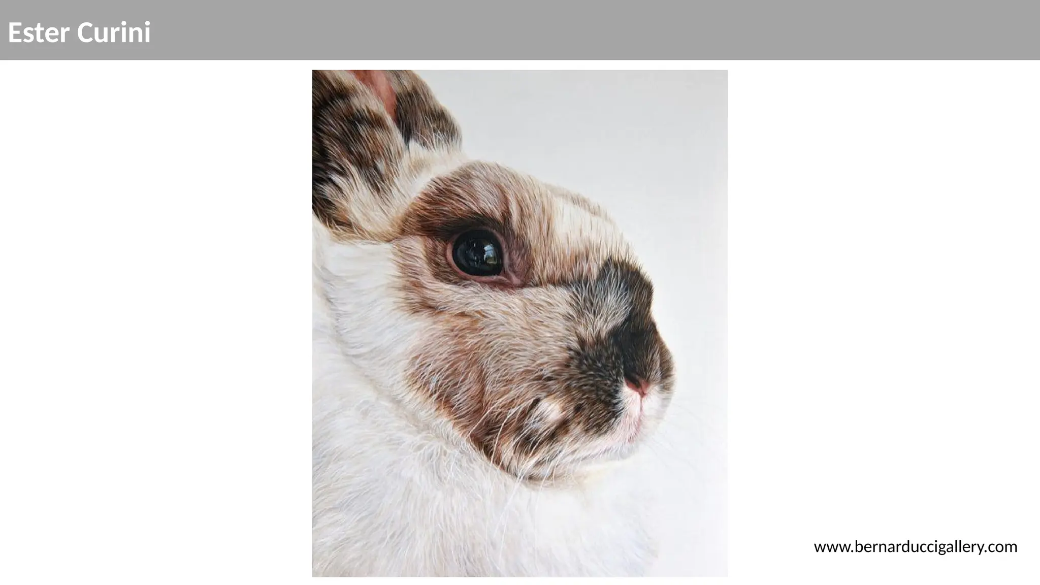 Examples of artists who use a close up composition style | PPTX