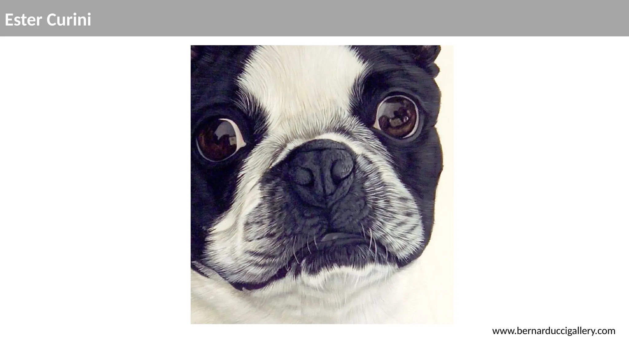 Examples of artists who use a close up composition style | PPTX