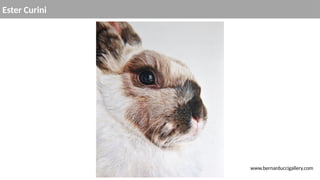 Examples of artists who use a close up composition style | PPTX