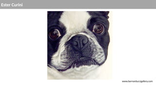 Examples of artists who use a close up composition style | PPTX