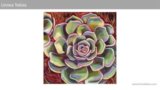 Examples of artists who use a close up composition style | PPTX