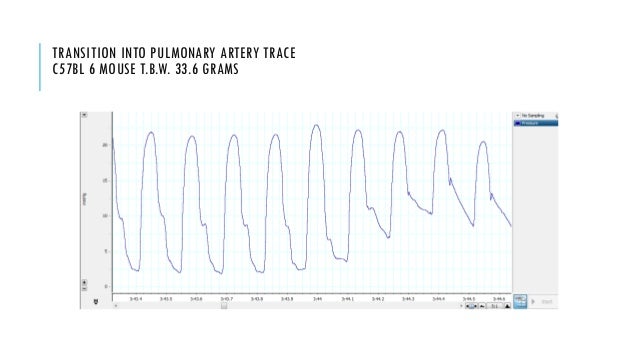 The close chest RV and PA pressure waveforms in mouse