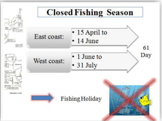 Closed seasons and its significance in fishing | PPTX