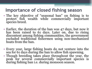Closed seasons and its significance in fishing | PPTX