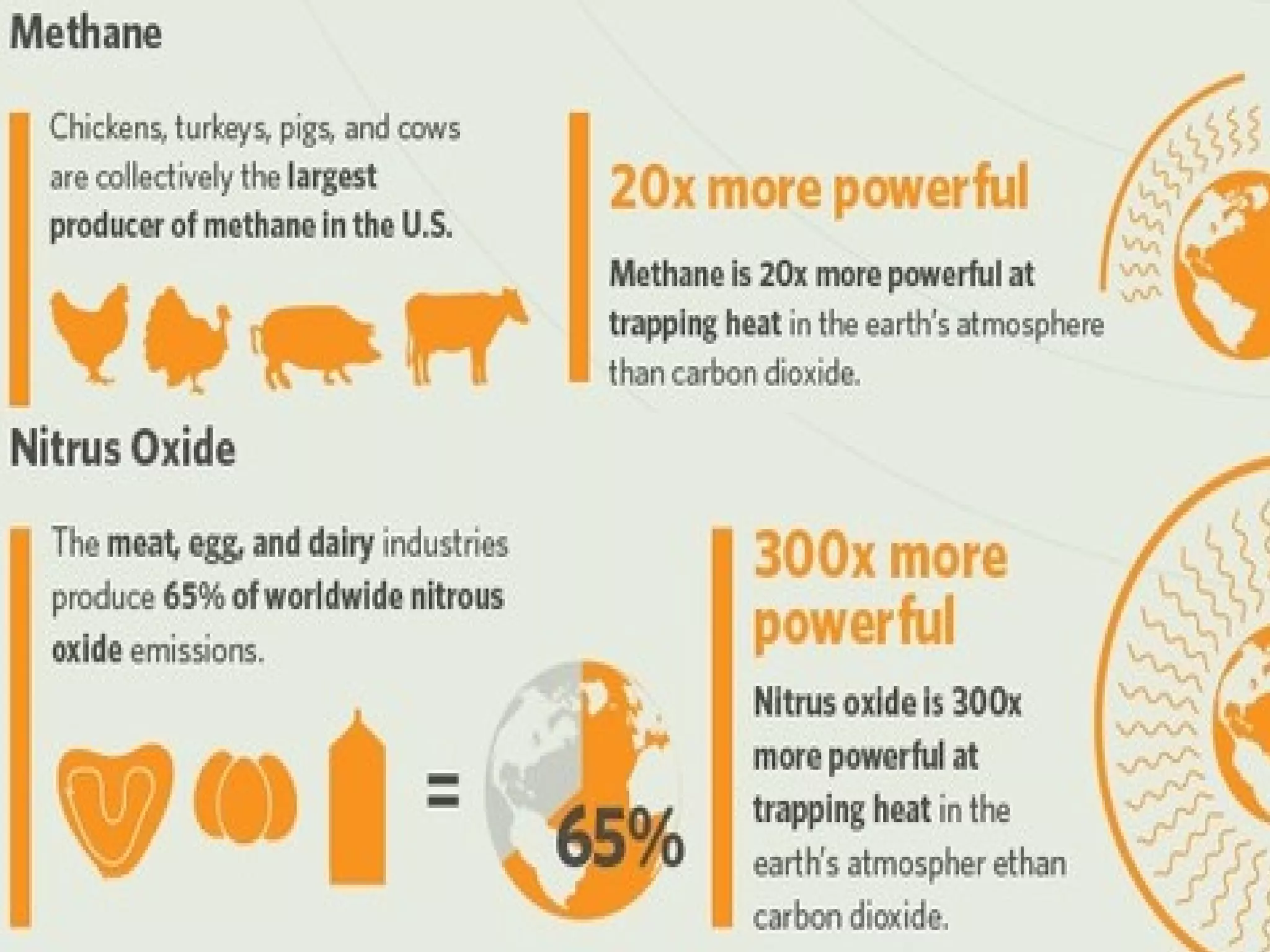 Take a closer look at your food, Yum Yum Yum-Veganism | PPT
