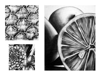Close up drawings | PPT
