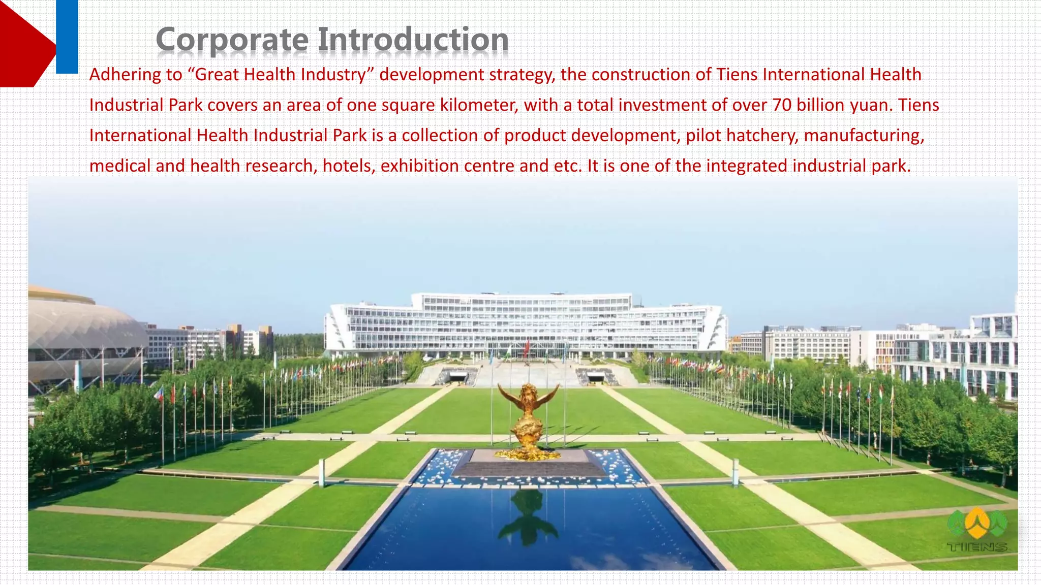 Tiens Business Presentation | PPTX