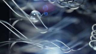 Closing keynote | PPTX