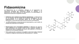 Clostridium exposición, medicina primer a segundo semestre | PPT