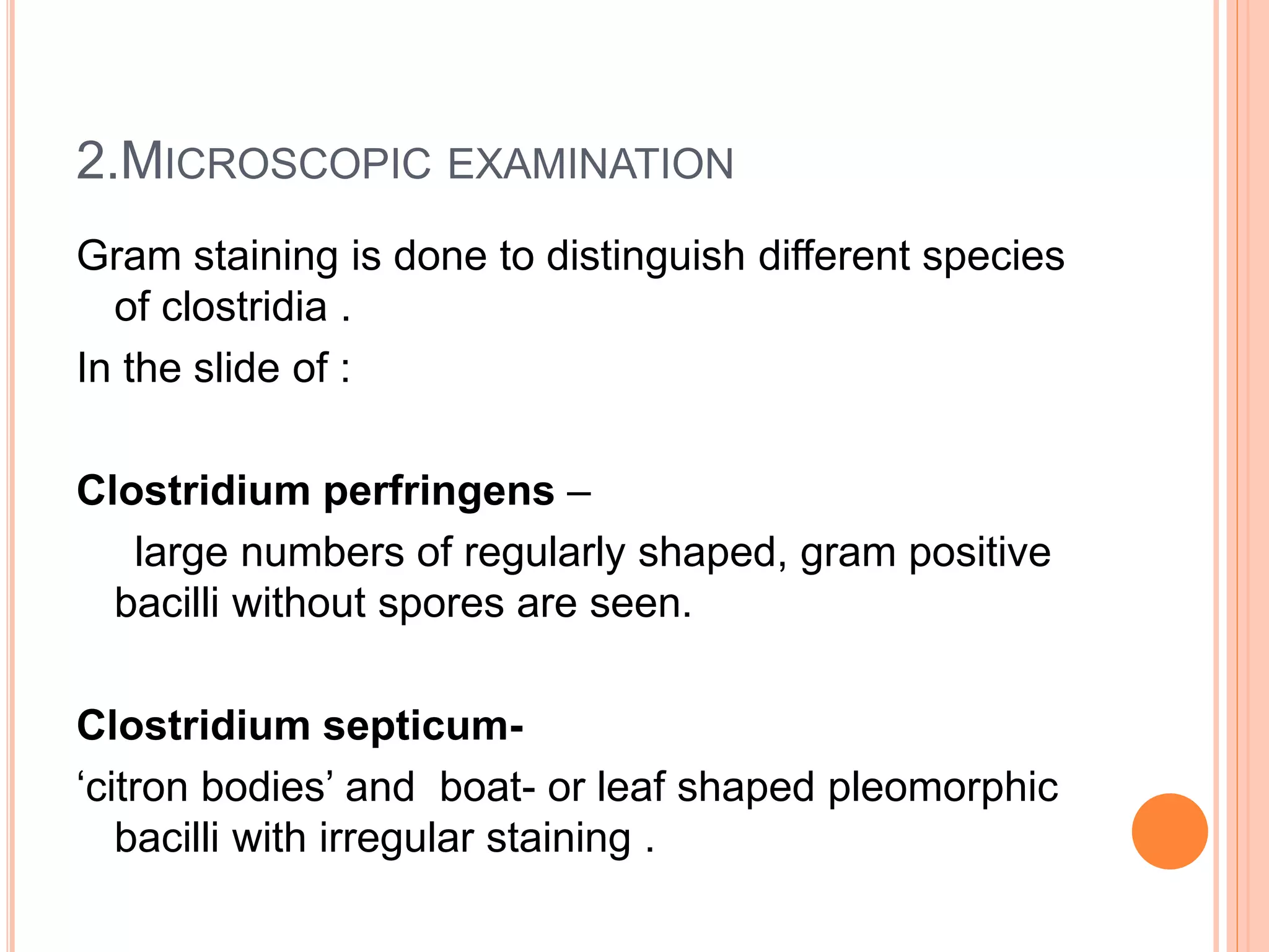 Clostidium perfringens | PPTX