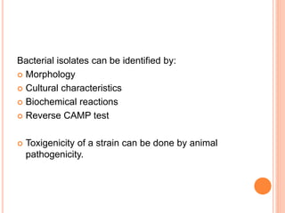 Clostidium perfringens | PPTX