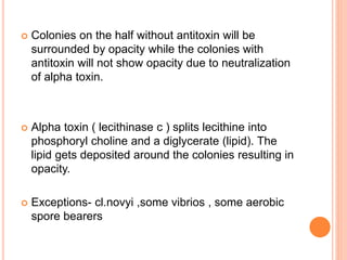 Clostidium perfringens | PPTX