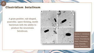 Clostridia.pptx