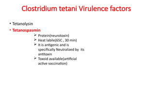clostridia morphology and virulence factors | PPTX