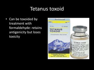 Clostridium tetani, botulinum, and difficile, by Dr. Himanshu Khatri | PPTX