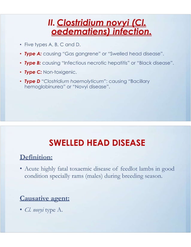 Clostridial Diseases Of Sheep And Goats 2x2 Pdf