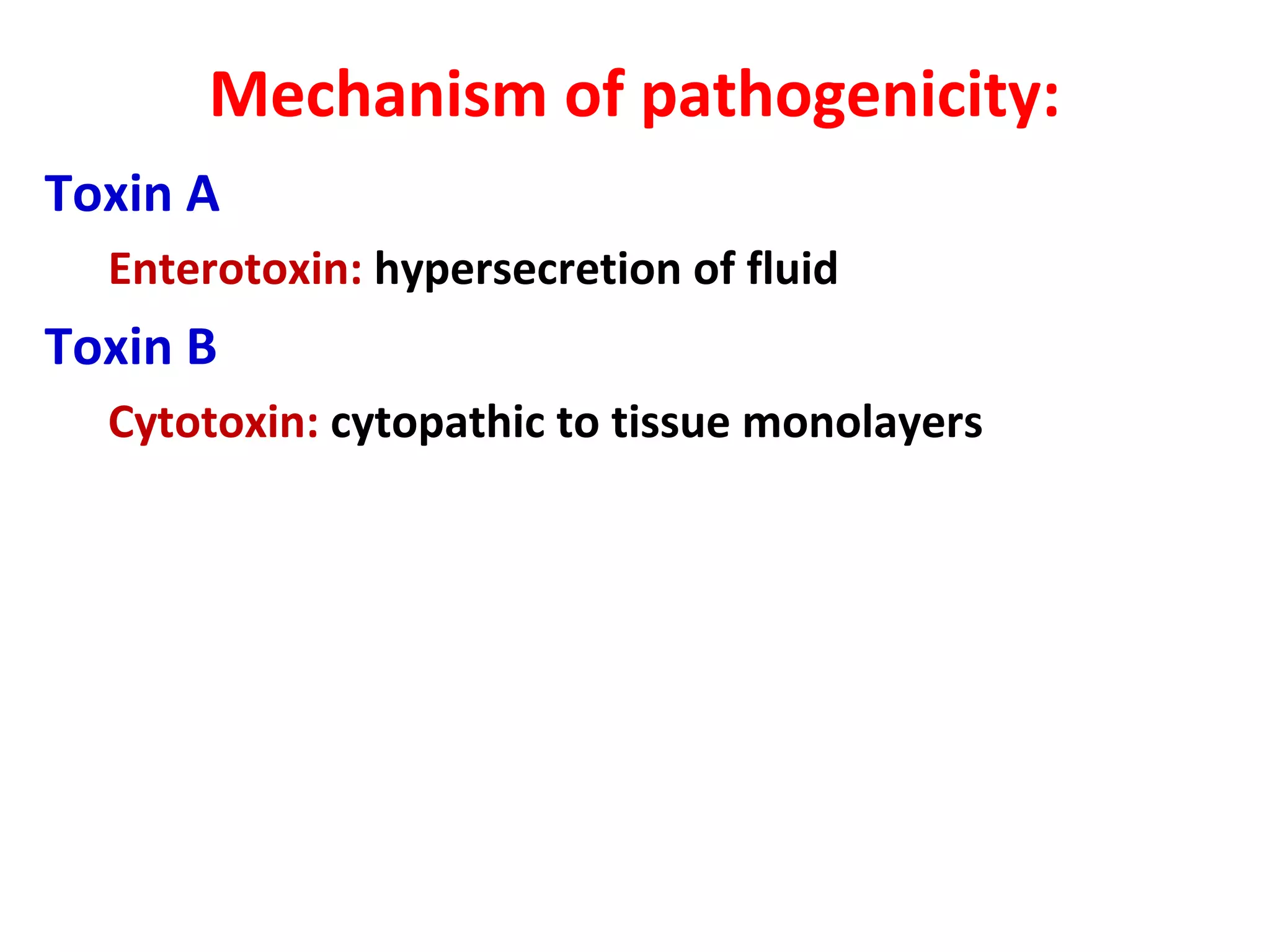 Clostridial toxins: Clostridium perfringens and Clostridium difficile | PPT