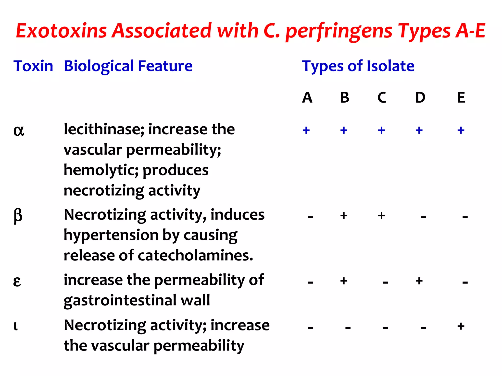 Clostridial toxins: Clostridium perfringens and Clostridium difficile | PPT