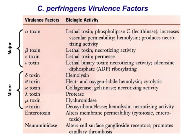 Clostridial toxins: Clostridium perfringens and Clostridium difficile ...