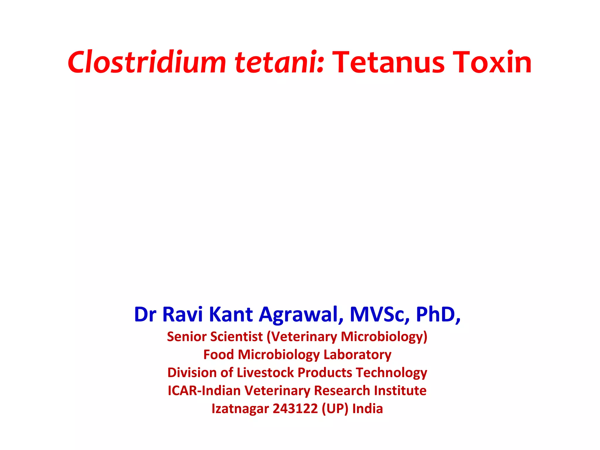 Clostridial toxins: tetanus toxin | PPT