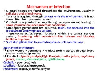 Clostridial toxins: tetanus toxin | PPT