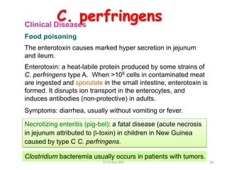 Clostridium Perfringens In Food