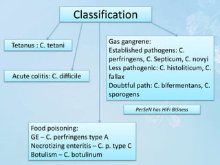 Clostridium | PPTX