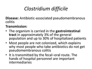 Clostridium | PPTX