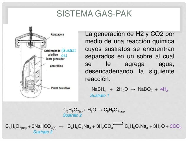 RECUENTO Y ASILAMIENTO DE BACTERIAS ANAEROBIAS