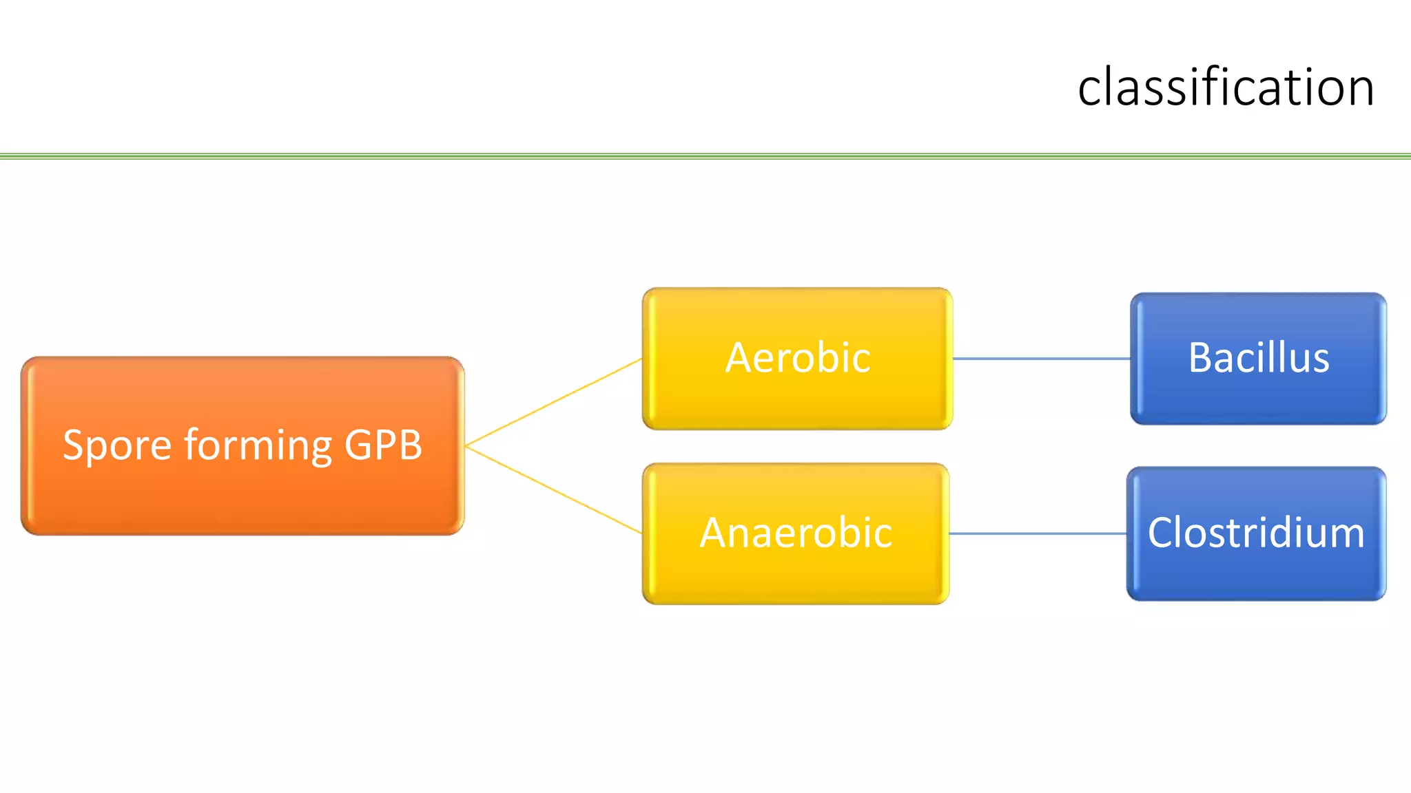 Spore-forming gram Positive bacteria | PPT