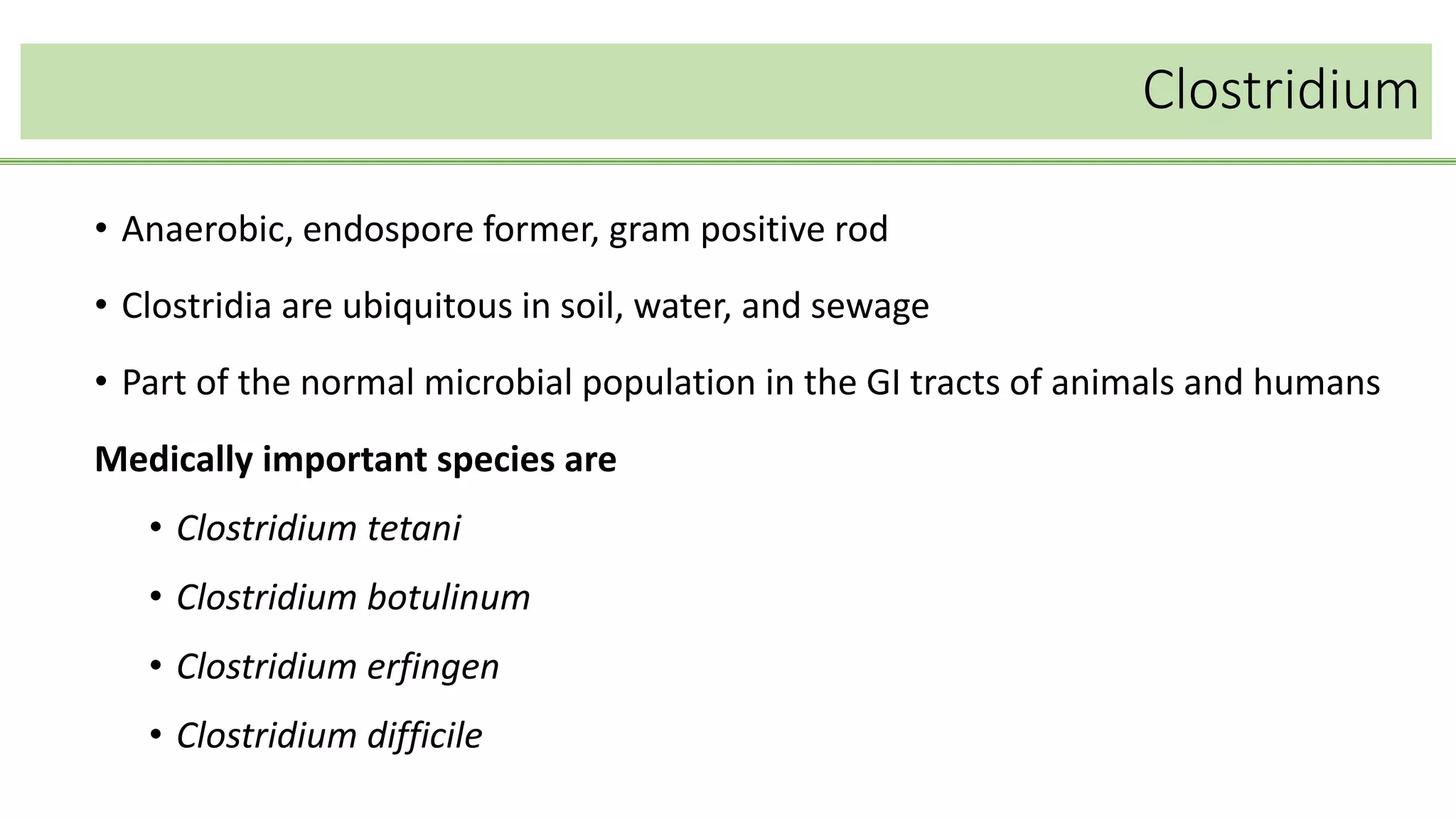Spore-forming gram Positive bacteria | PPT