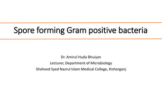 Spore-forming gram Positive bacteria | PPT