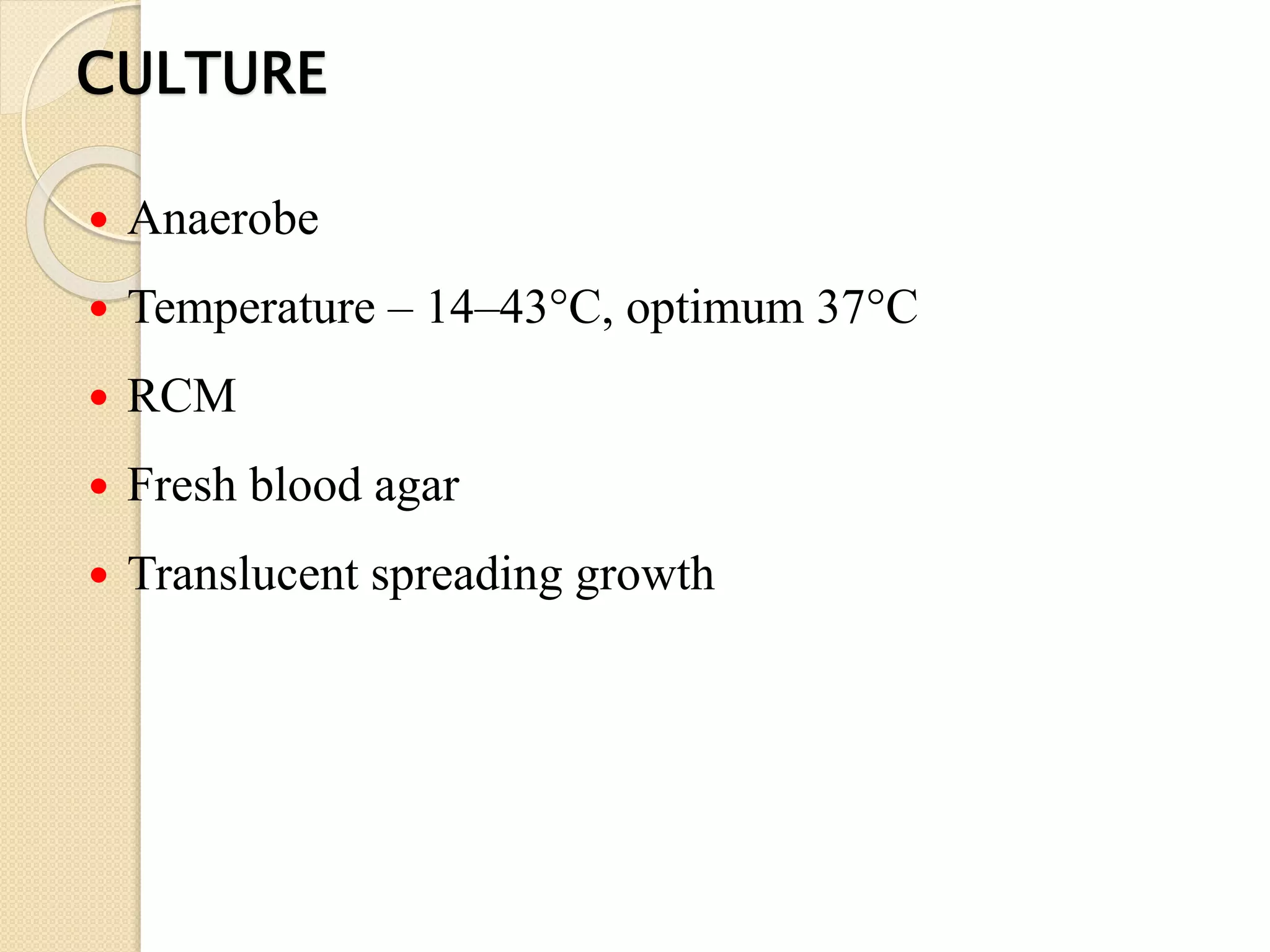 Clostridium | PPTX