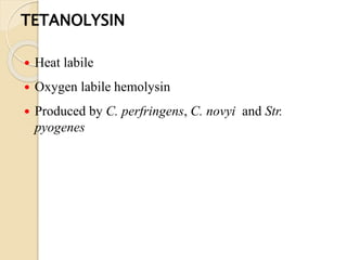 Clostridium | PPTX