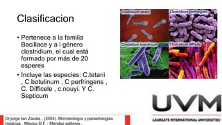 Clostridium | PPTX