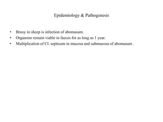 Clostridium oedematiens | PPTX