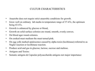Clostridium oedematiens | PPT