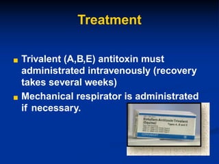 Clostridium .pdf
