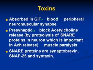 Clostridium .pdf