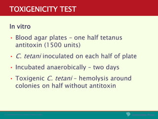 CLOSTRIDIUM.ppt