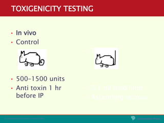 CLOSTRIDIUM.ppt