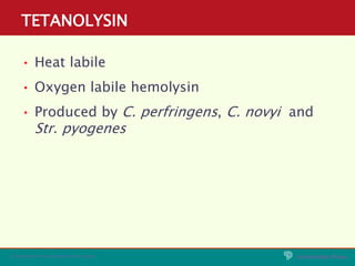 CLOSTRIDIUM.ppt