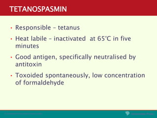CLOSTRIDIUM.ppt