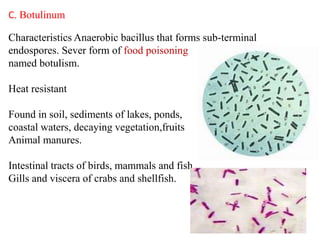 clostridium.pptx | Chemistry | Science